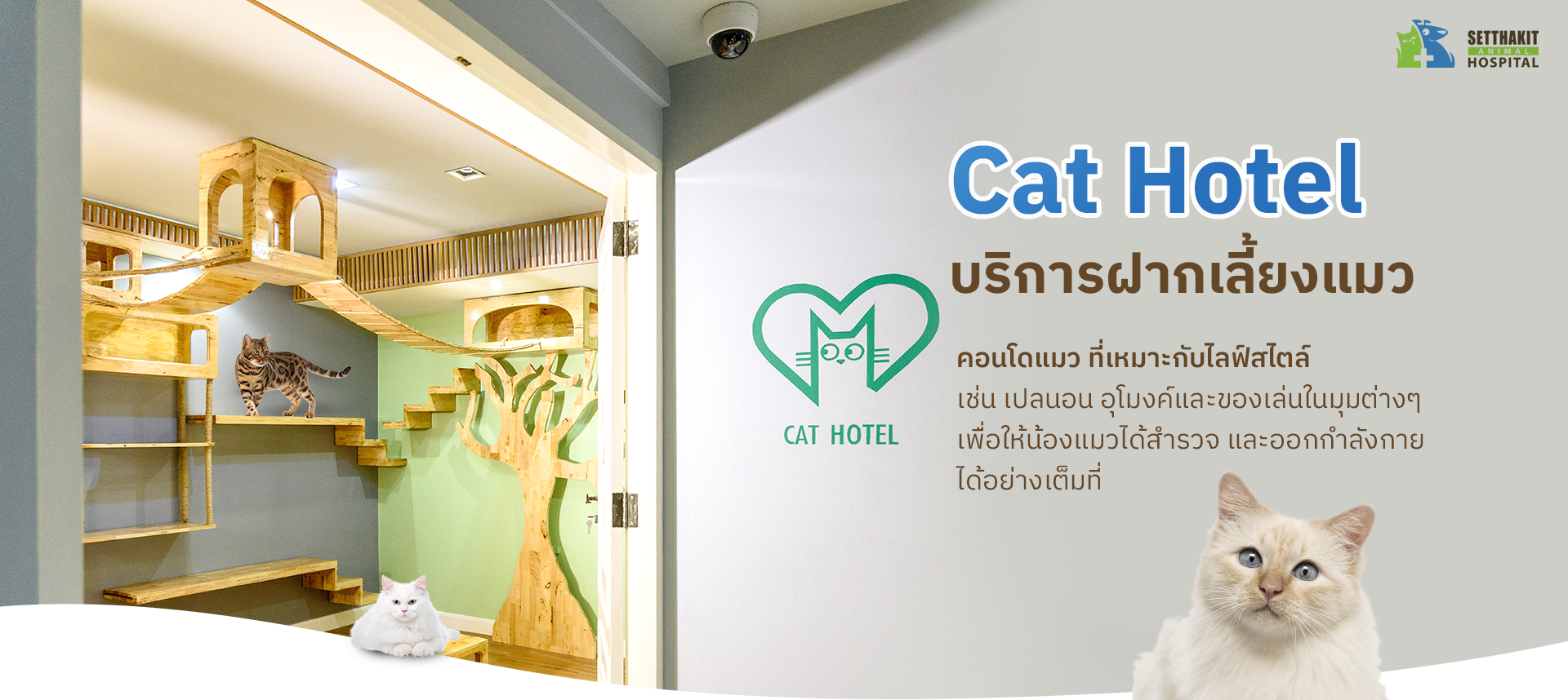 ห้องพักสัตว์เลี้ยง - setthakitanimalhospital
