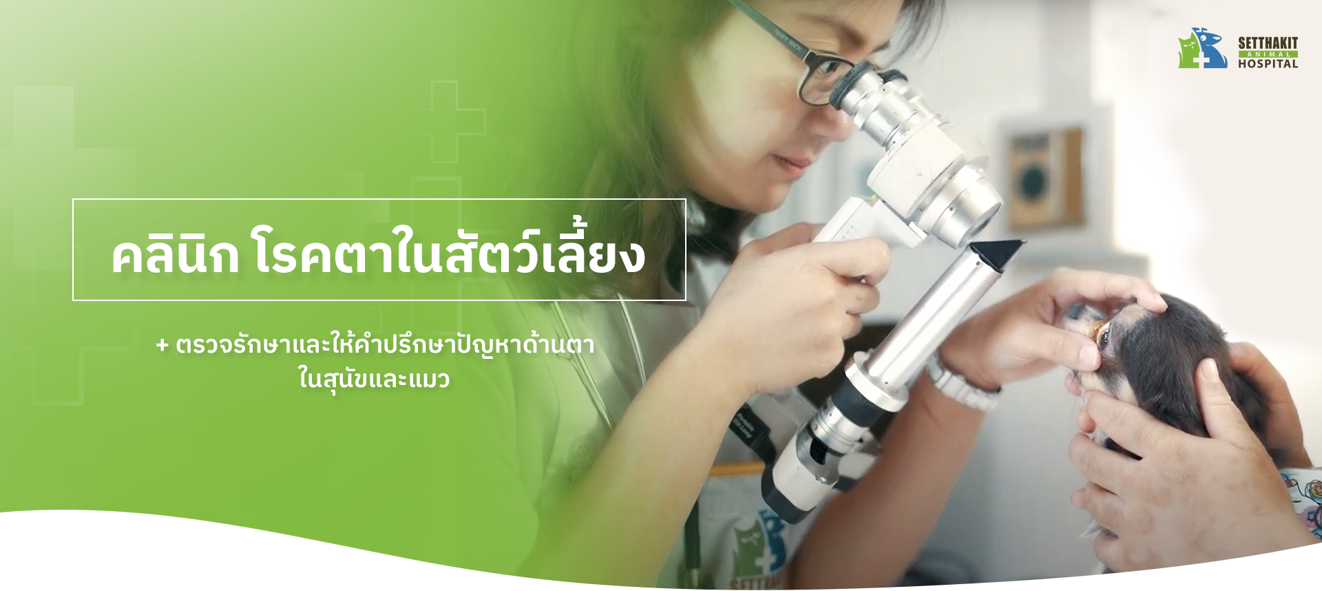 Setthakit Animal Hospital