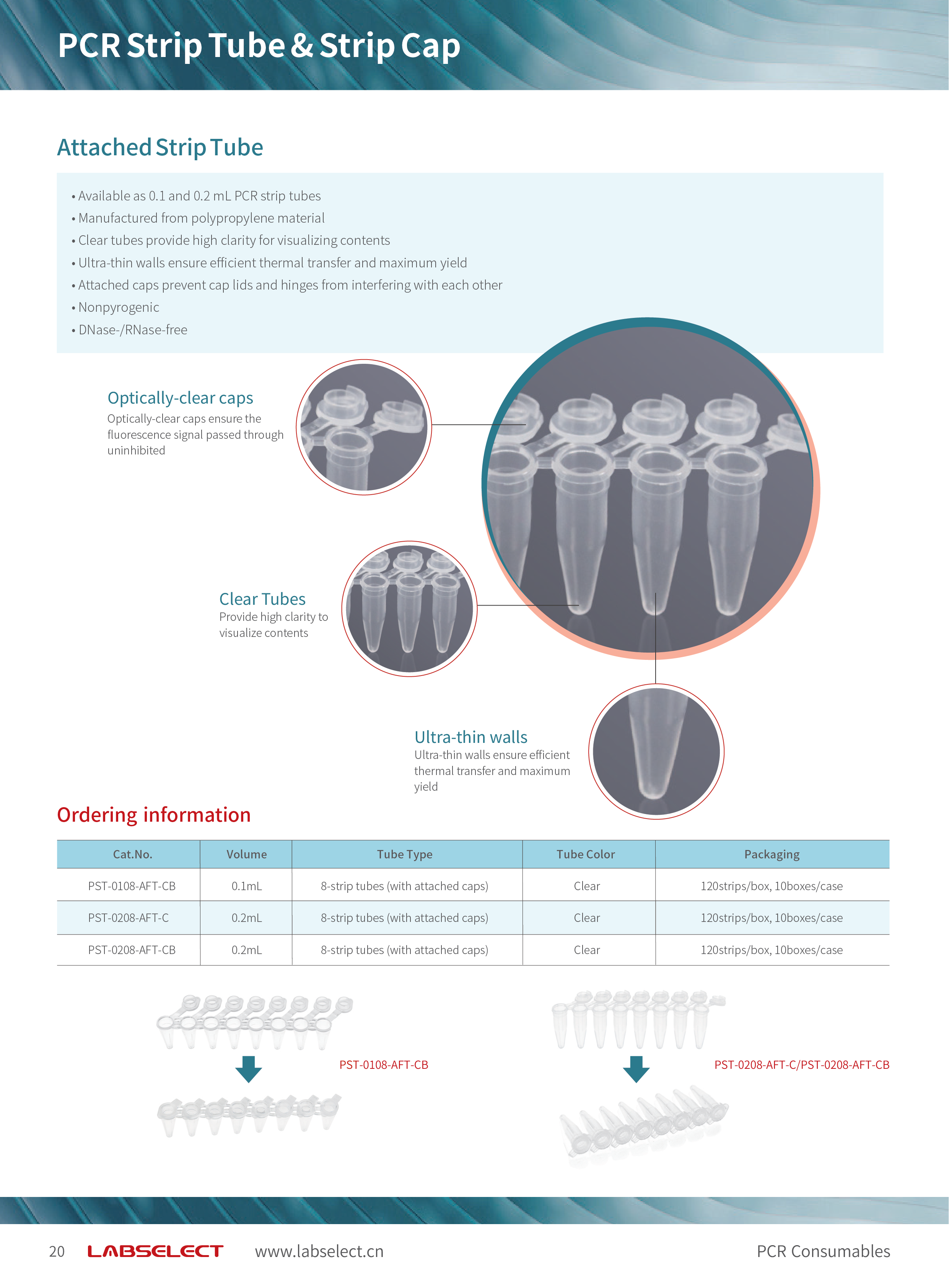 8 Strip Tubes with attached cap, clear tubes - smartscience