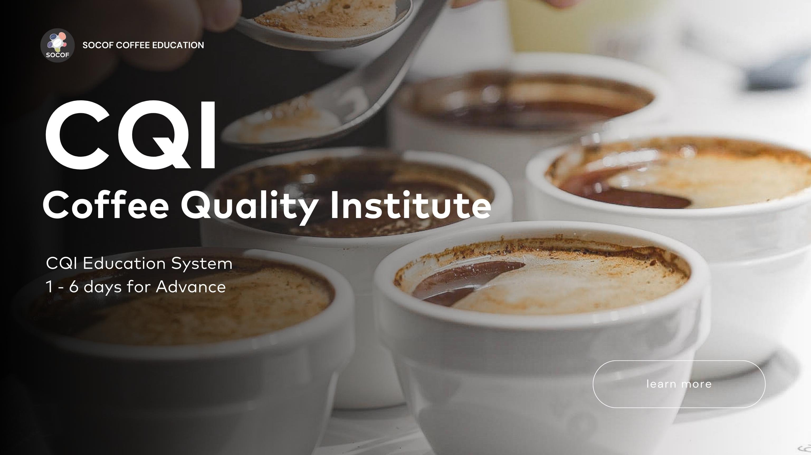 CQI - ministryofroasters