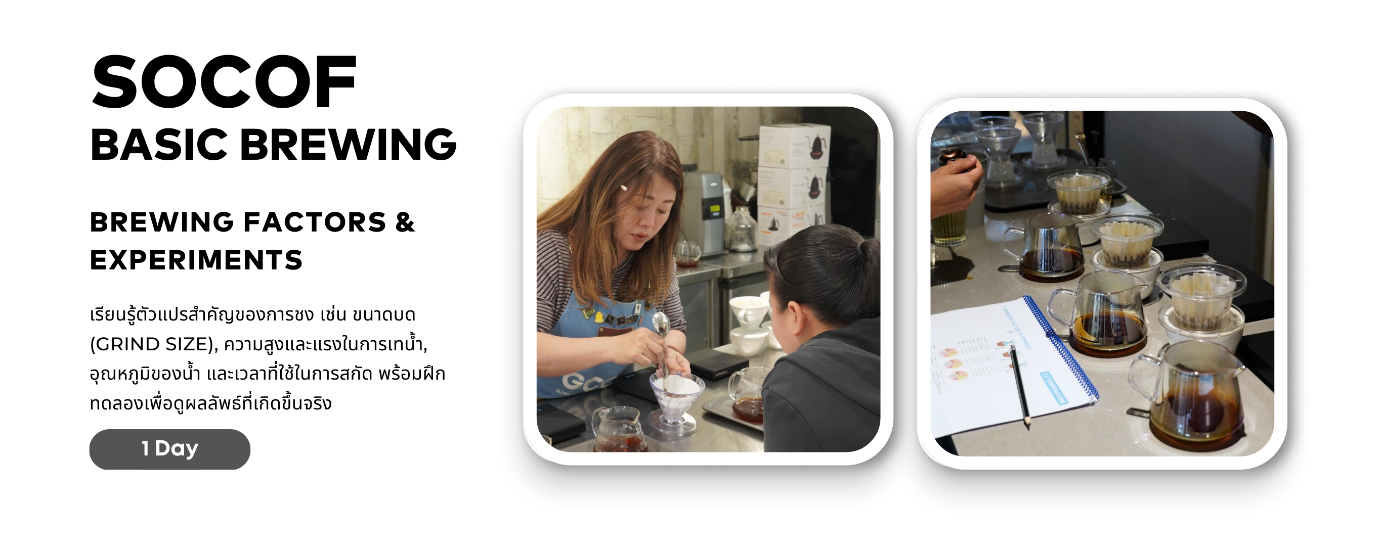 Basic Brewing - ministryofroasters