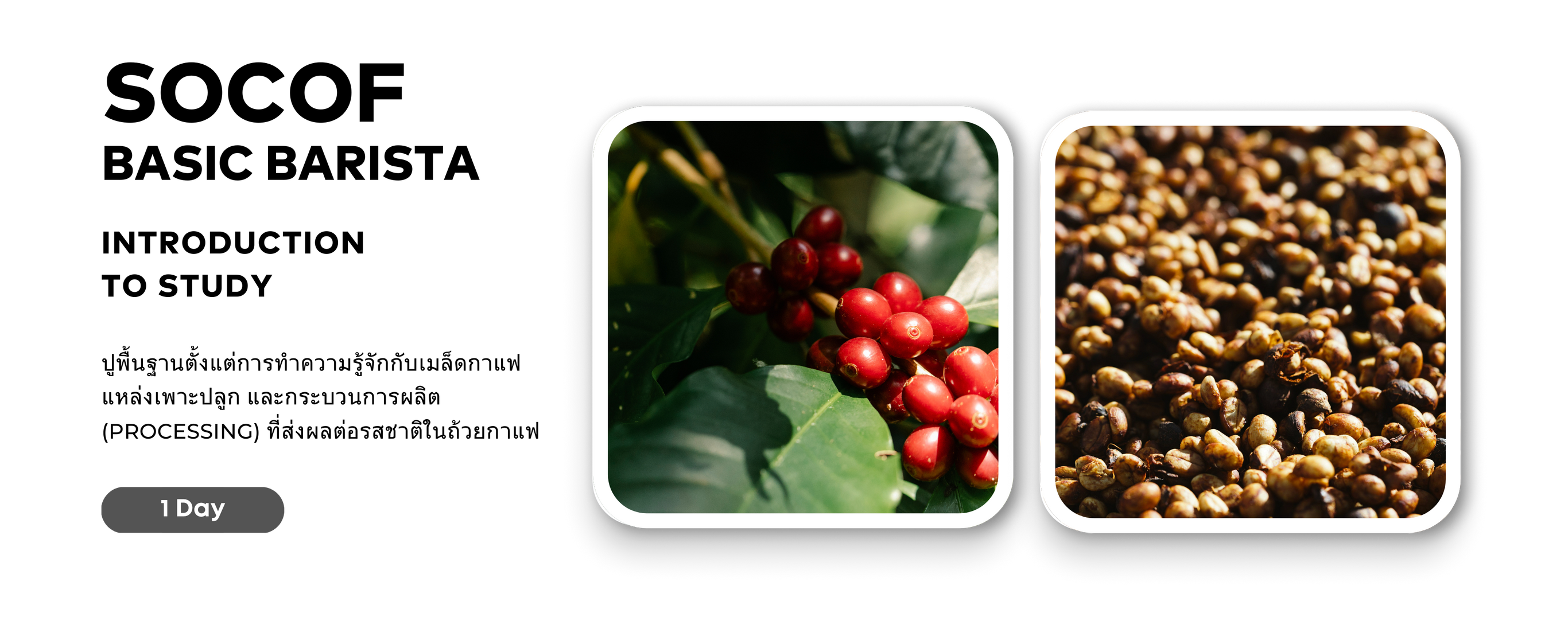 SOCOF Basic Barista - ministryofroasters