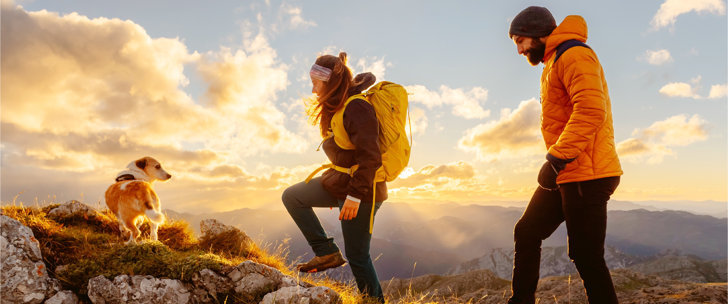 TTC (1989) CORPORATION CO., LTD.