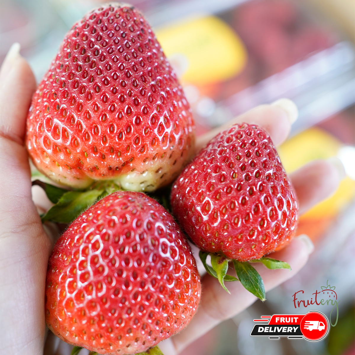 ผลไม้ - fruitery