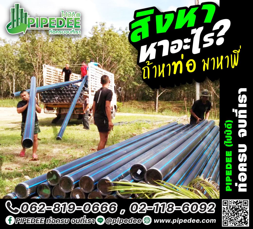 PipeDee ศูนย์รวมท่อPe,ท่อHDPE,PVC,UPVC,PP,PB