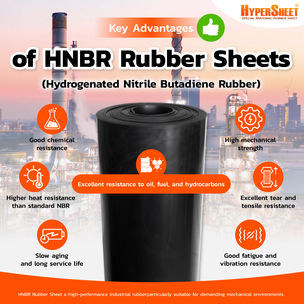 Is HNBR Rubber Sheet Food Grade? | Comparing Food-Contact Rubber ...