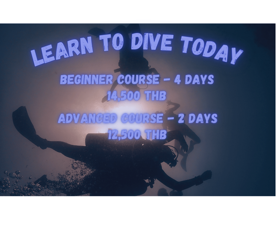 RAID Sidemount Diver Course Thailand | Thai Ocean Academy ...