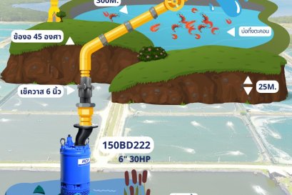 Job Report - maxflow