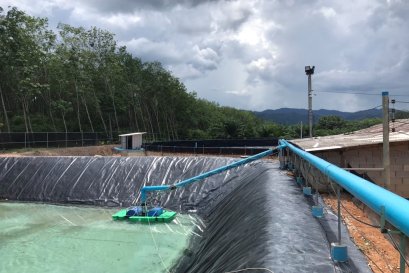 Job Report - maxflow