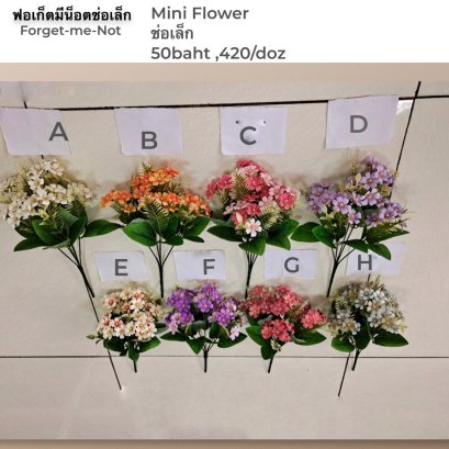 Mini - flowergallery Mini - flowergallery