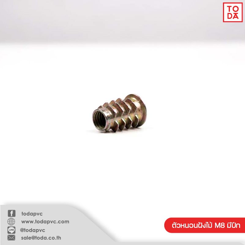 M8 wood worm has wings - todapvc