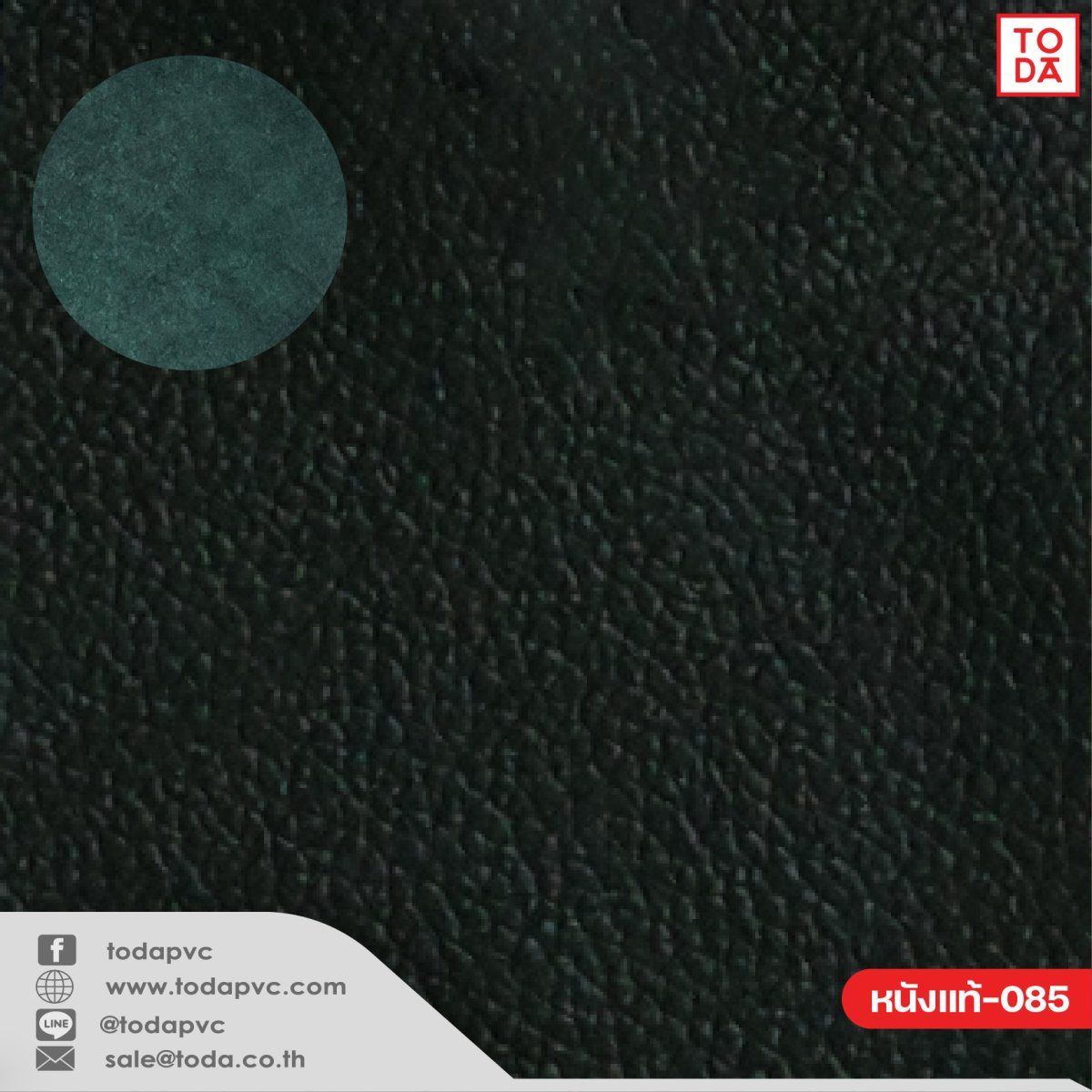 หนังแท้ - todapvc