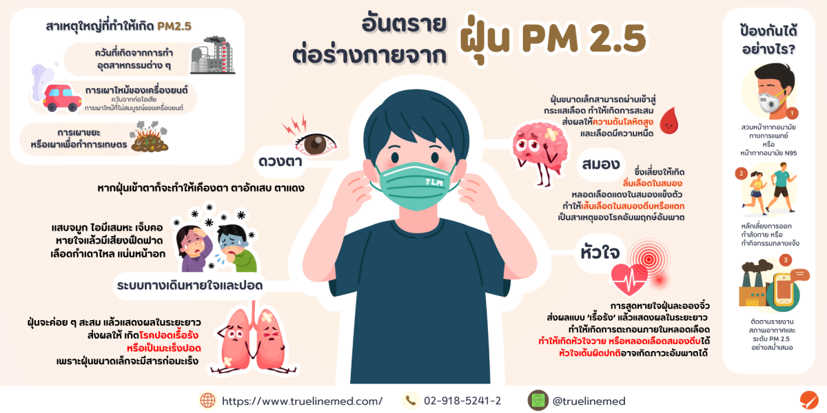 อันตรายต่อร่างกายจากฝุ่นจิ๋ว PM2.5 - truelinemed