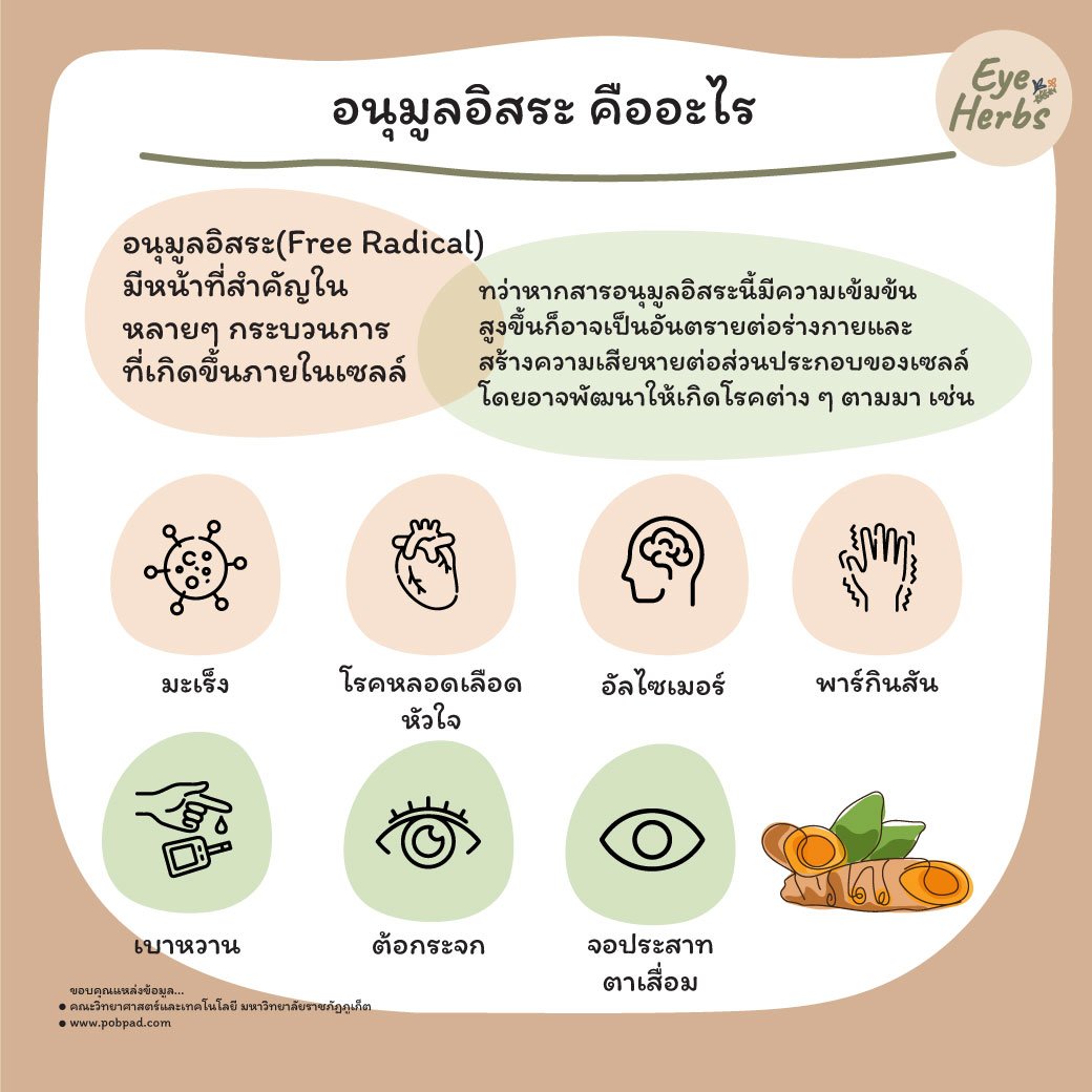 What are free radicals? - khaolaor