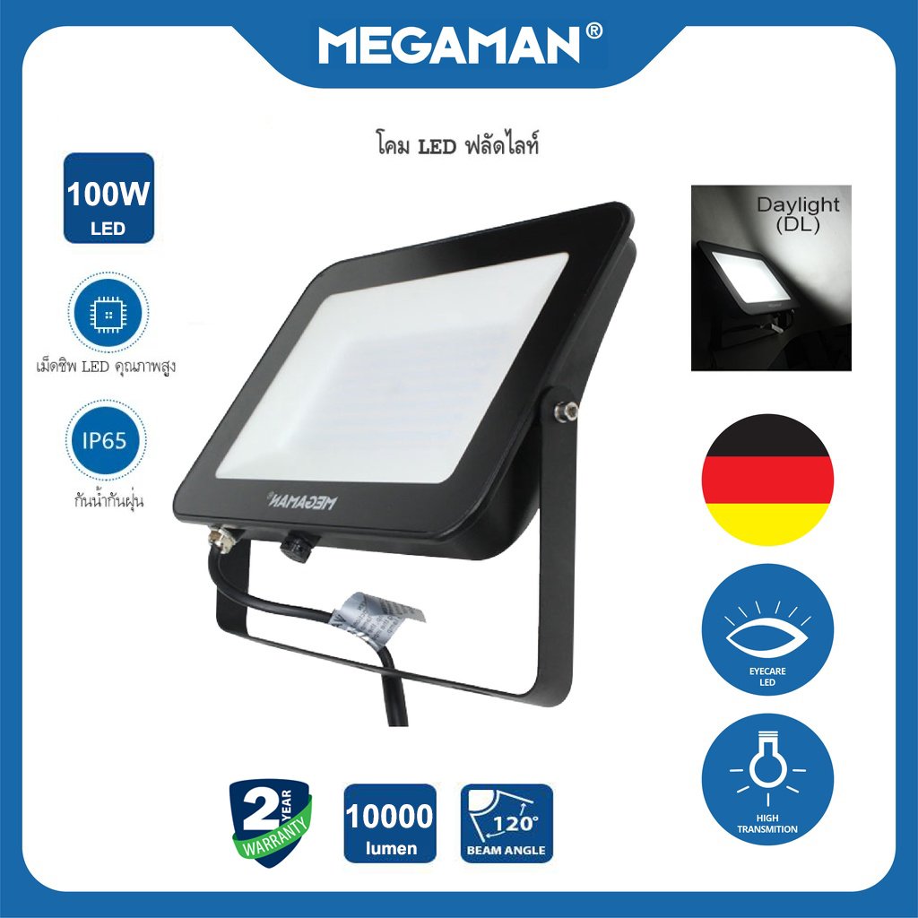 Floodlight LED 100W IP65