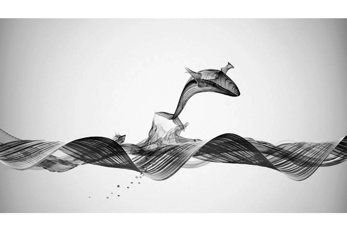 Designs of imagination - idealsilver