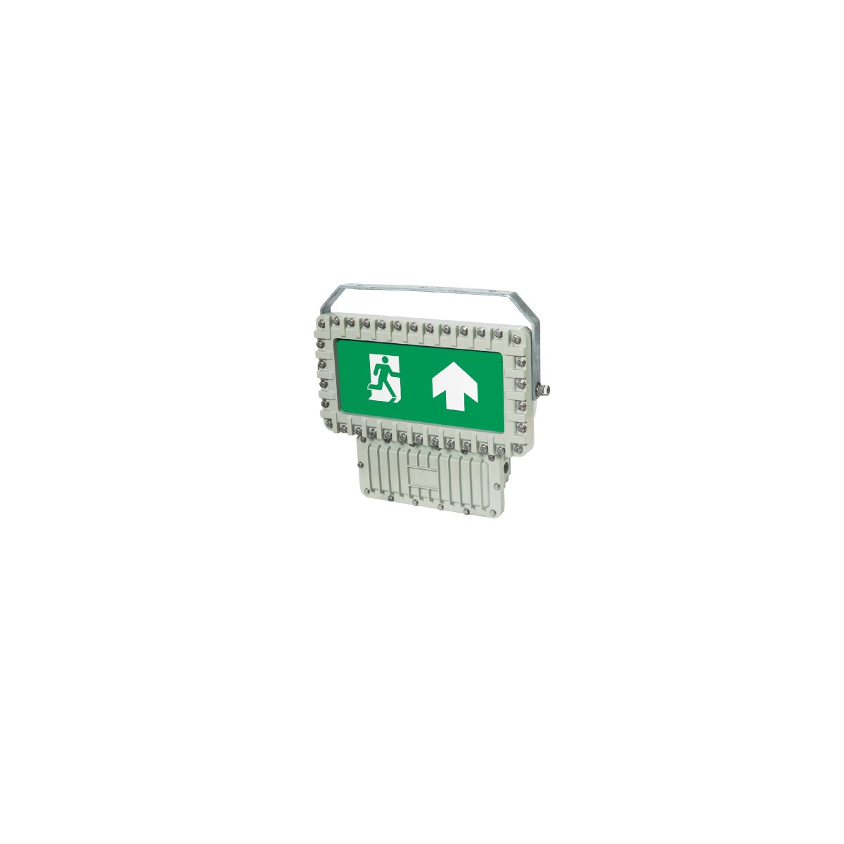 LED Emergency Exit Sign, DFXT Series