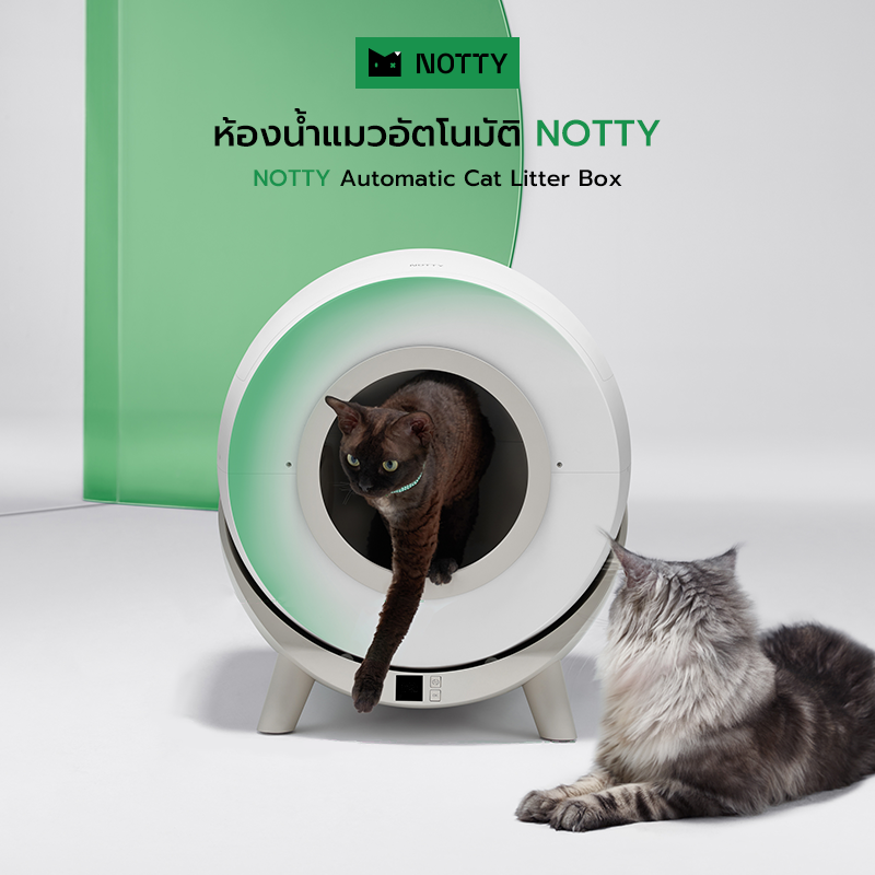 ห้องน้ำแมวอัตโนมัติ NOTTY - hykithailand