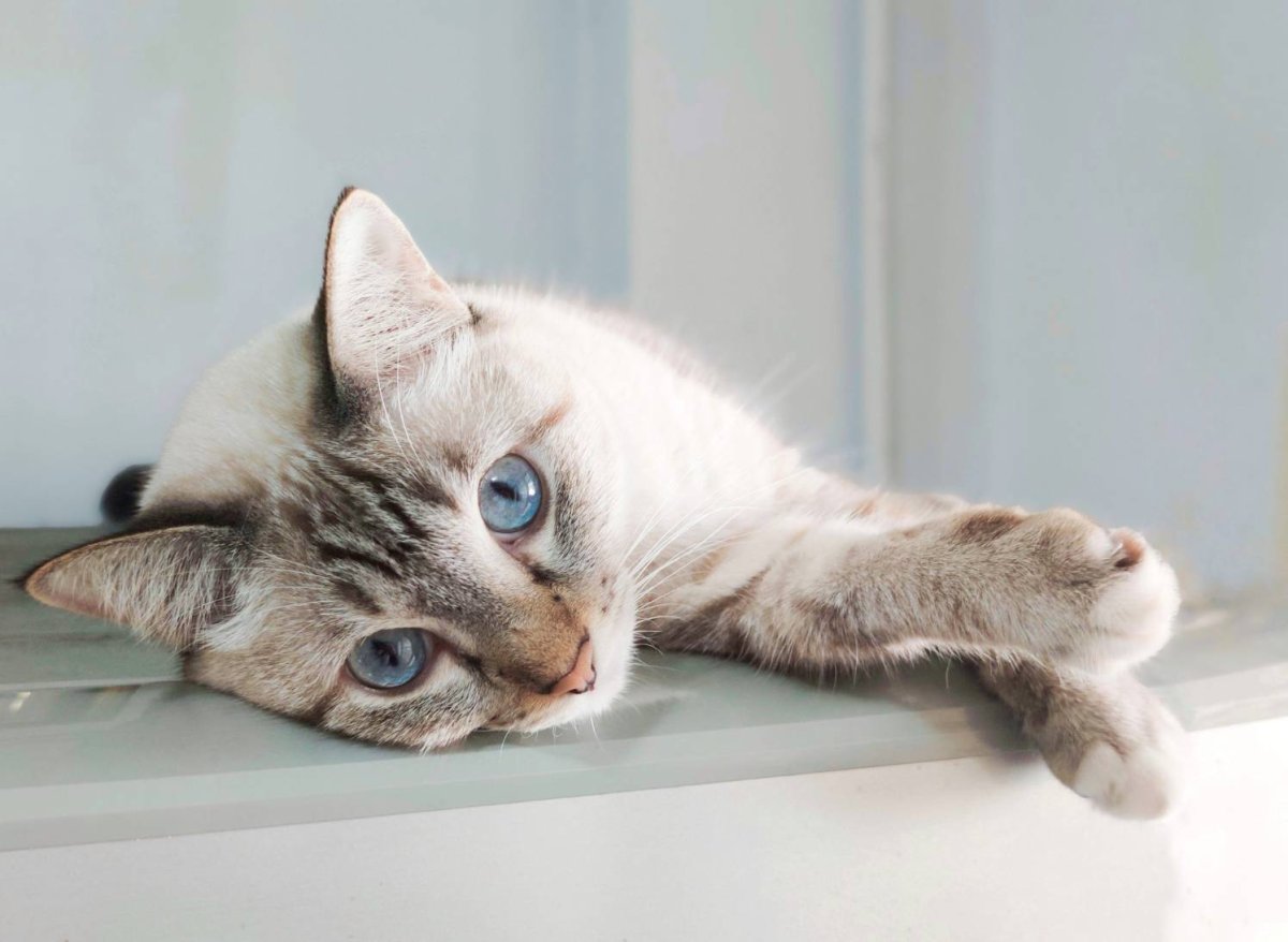 "อึน่ะเหรอ ... ยังไงก็ต้องกลบ" - hykithailand