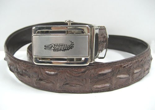 Men Genuine Crocodile Belt in Dark Brown Crocodile Leather #CRM638B-03