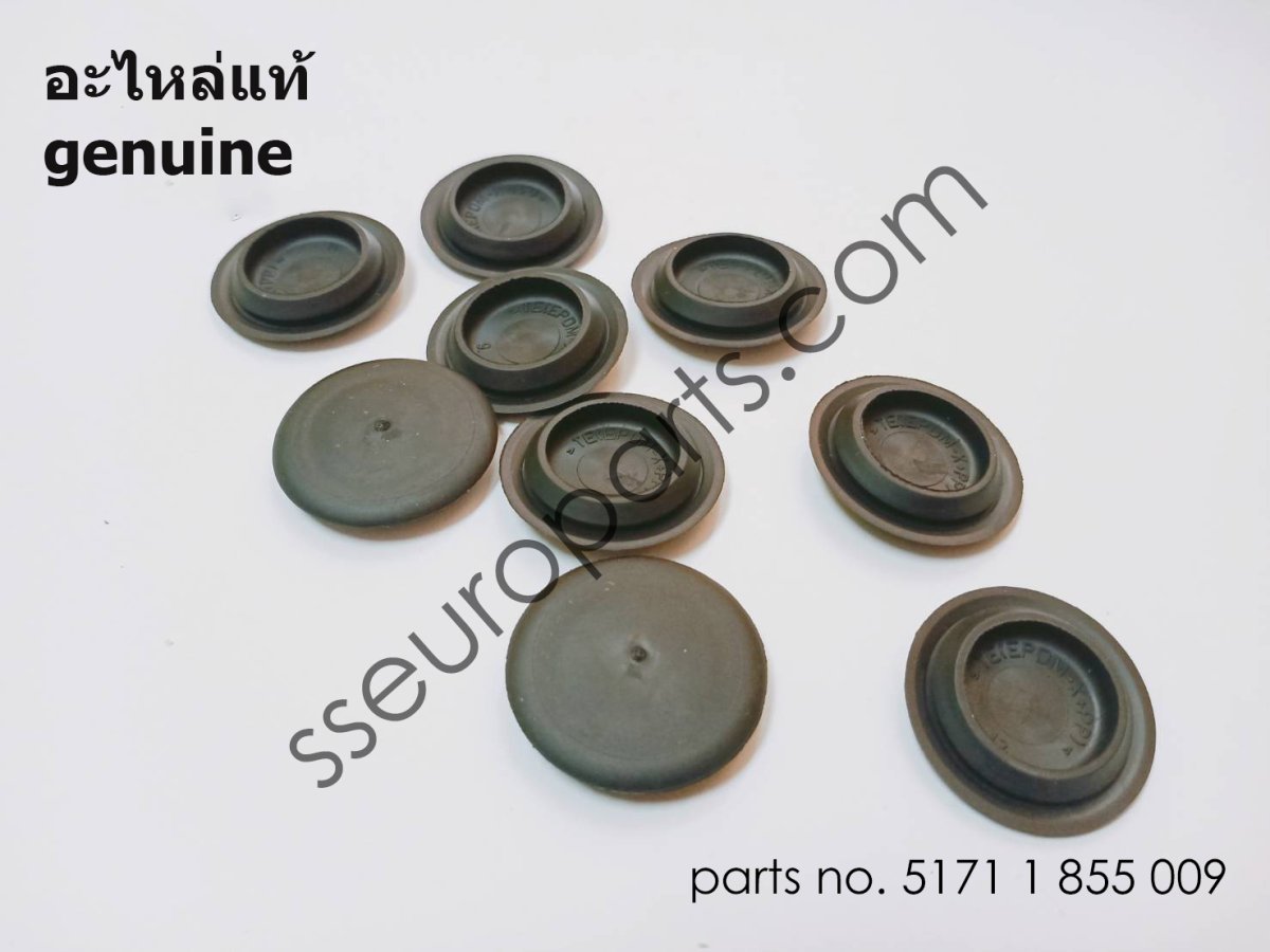 ปลั๊กซีล หมายเลขชิ้นส่วน: 51711855009 1855009 - sseuroparts