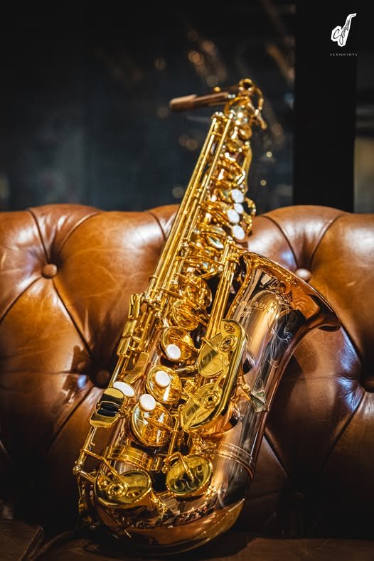 Sonsonic ZE (Bronze) Alto Saxophone