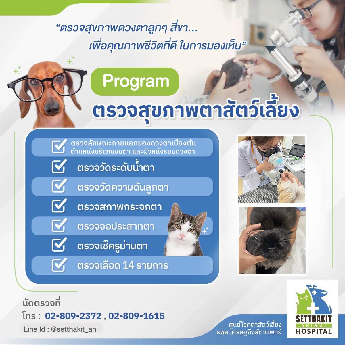 โปรแกรมตรวจตาสัตว์เลี้ยง - setthakitanimalhospital