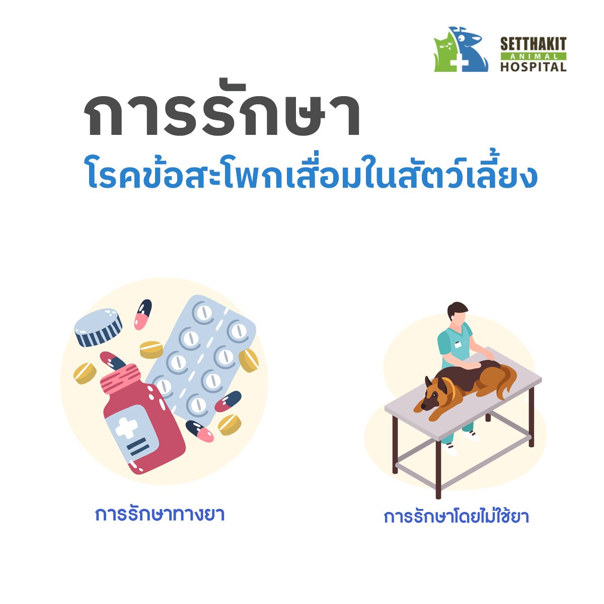 การรักษา โรคข้อเสื่อมในสัตว์เลี้ยง - setthakitanimalhospital
