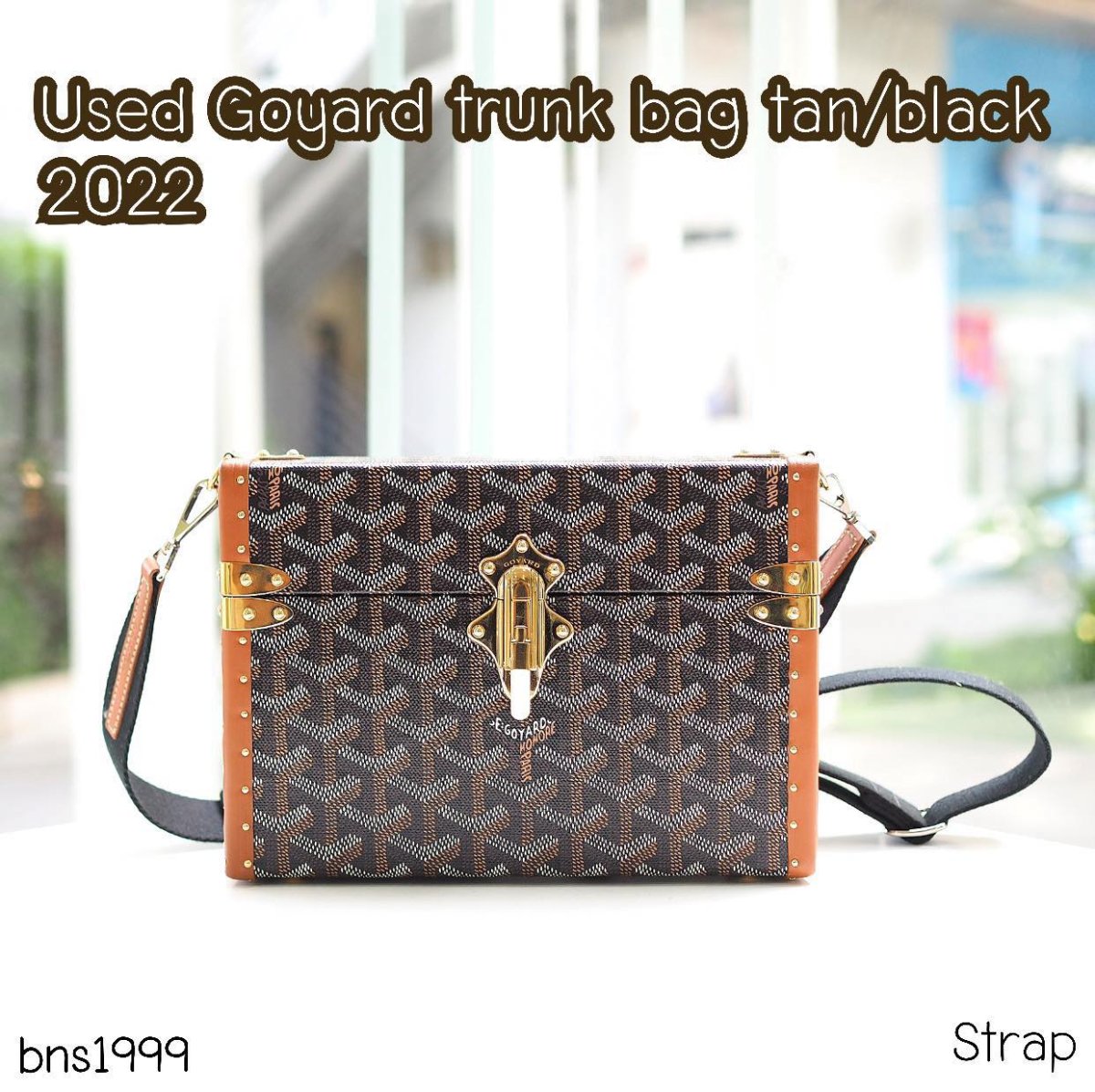 Goyard CASSETTE TRUNK TAN/BROWN 2022 - brandnamesocietybkk