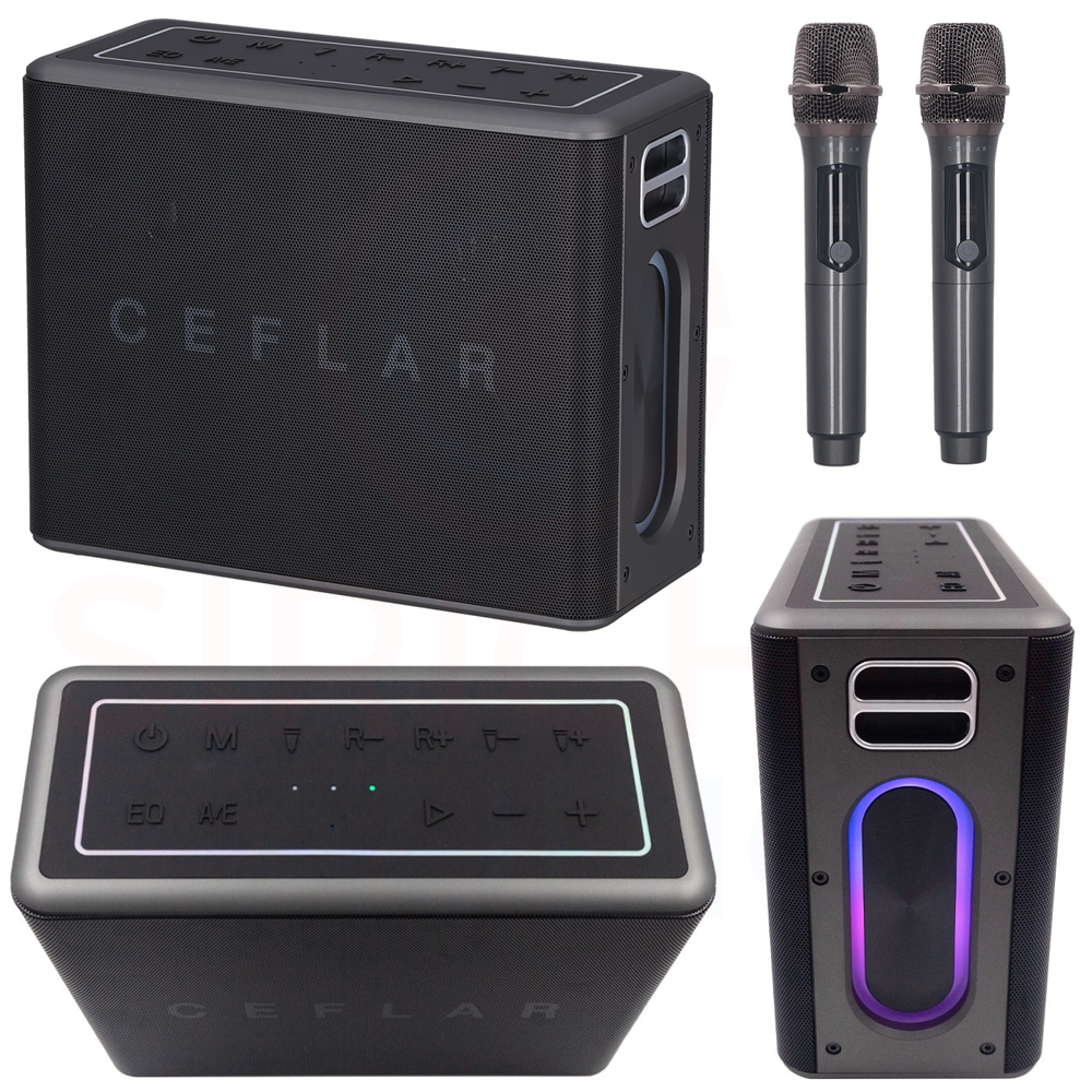 ลำโพงบลูทูธ CEFLAR รุ่น VOX PRO V60