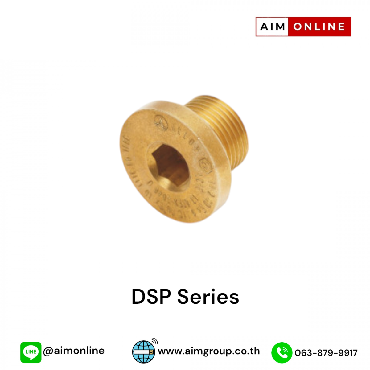 ALLOY Stopping Plug DSP Series Model:DSP Series