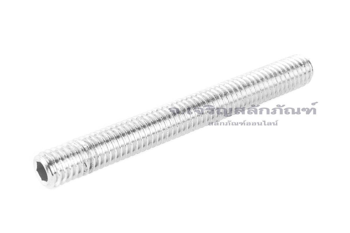 น็อตตัวหนอนสแตนเลส M6x1.0x55