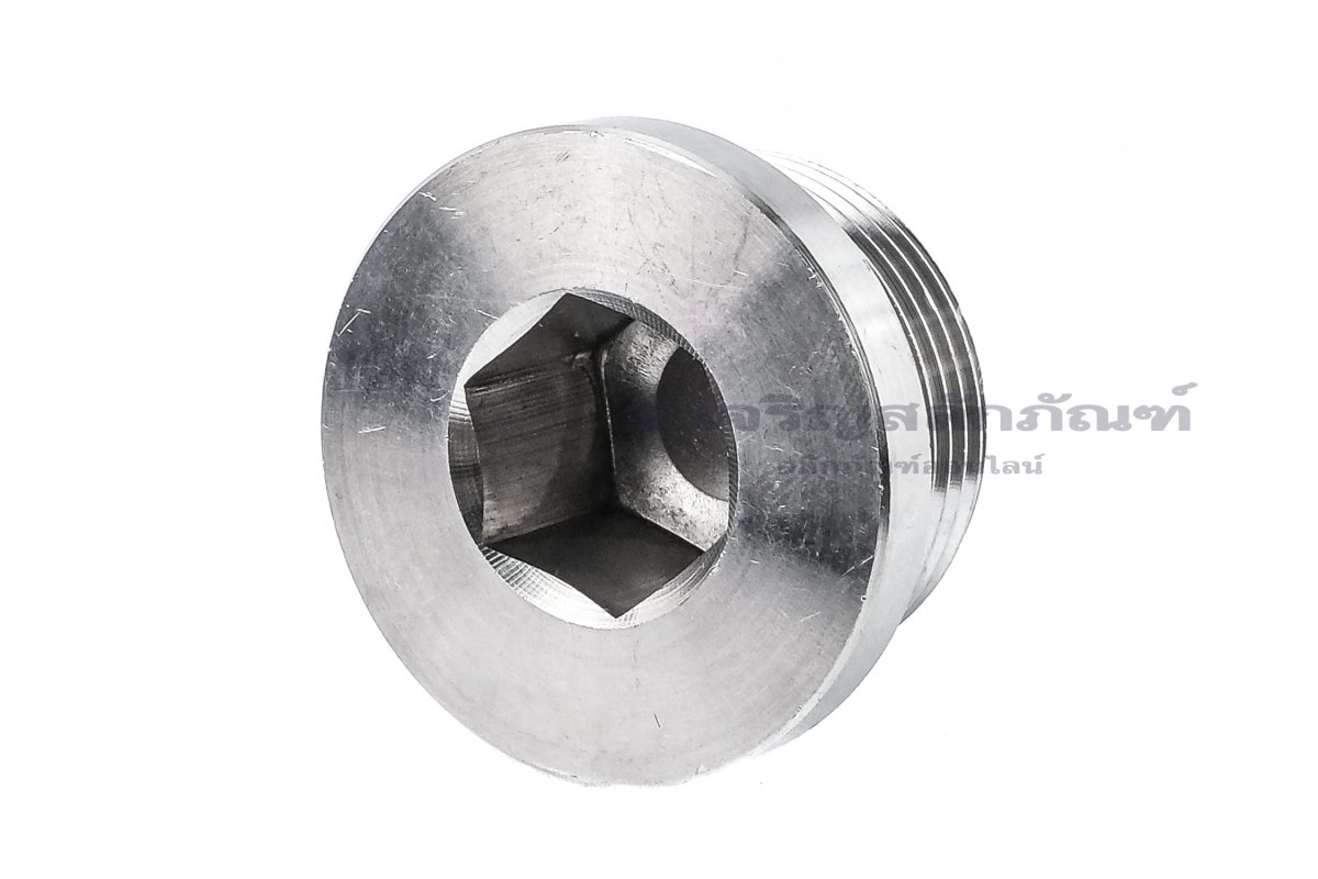 ปลั๊กอุดตัวหนอนแบบมีปีกสแตนเลส ขนาด M33x2.0 - jspstore