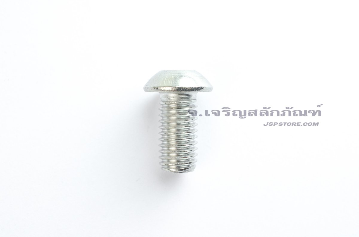 น็อตหัวจมกลมสแตนเลส M10x20