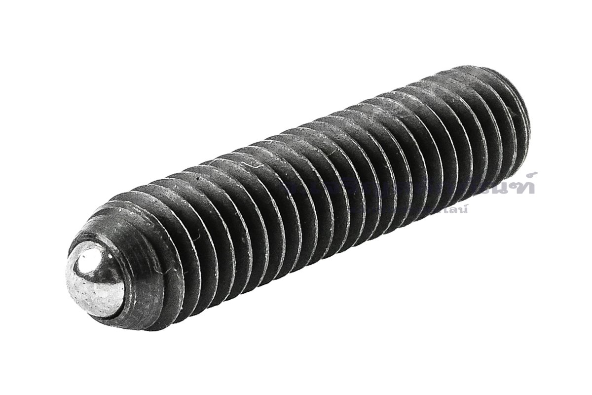 น็อตตัวหนอนปลายลูกปืน M6x1.0x25 - jspstore
