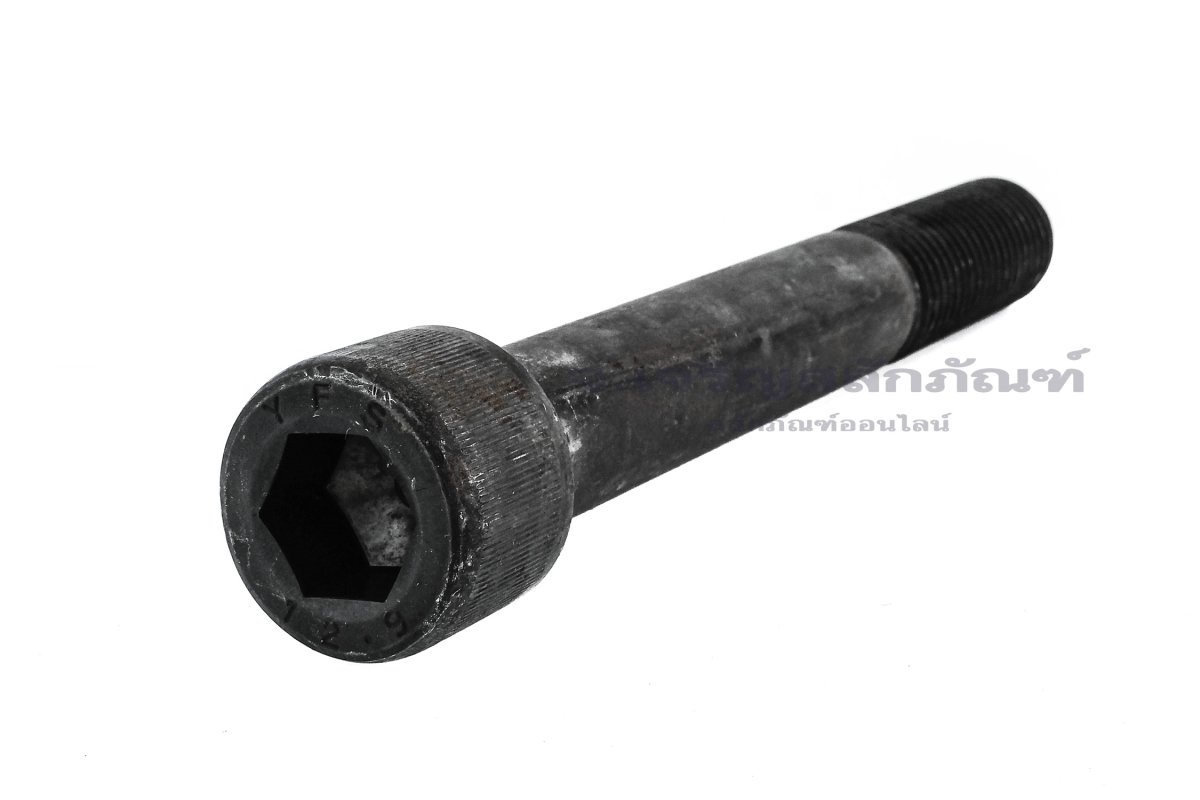น็อตหัวจมดำแข็ง M24x240