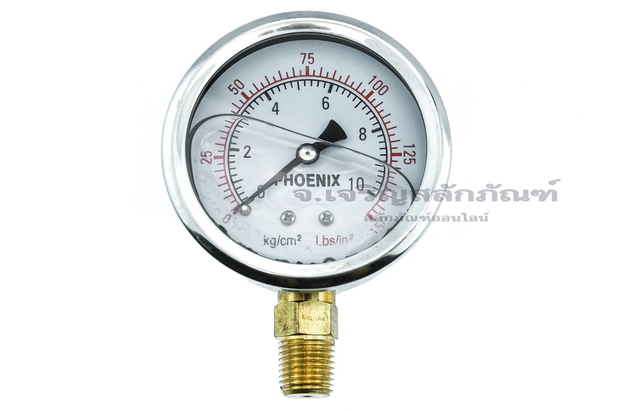 เกจ์วัดความดัน PHOENIX หน้าปัดโต 64 mm (2.1/2") ช่วงแรงดัน 10 Kg (150 ...