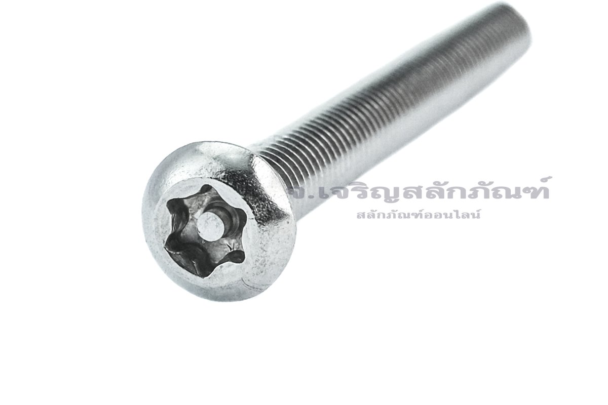 น็อตหัวทอร์ค-หัวดาว มีเดือยโผล่สแตนเลส M6x60 - jspstore
