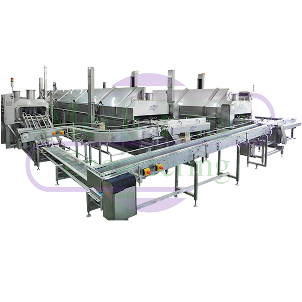 STEAM COOKER & CONVEYOR SYSTEM
