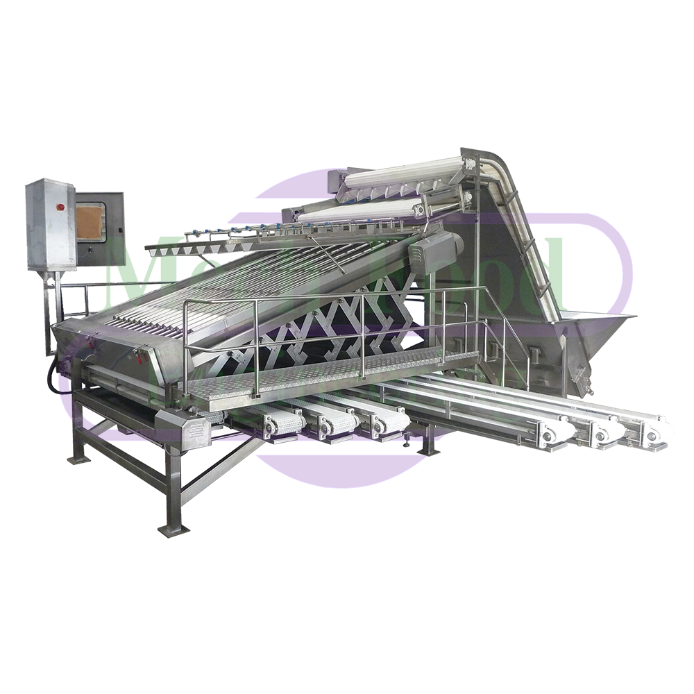 GRADING MACHINE - mechfood