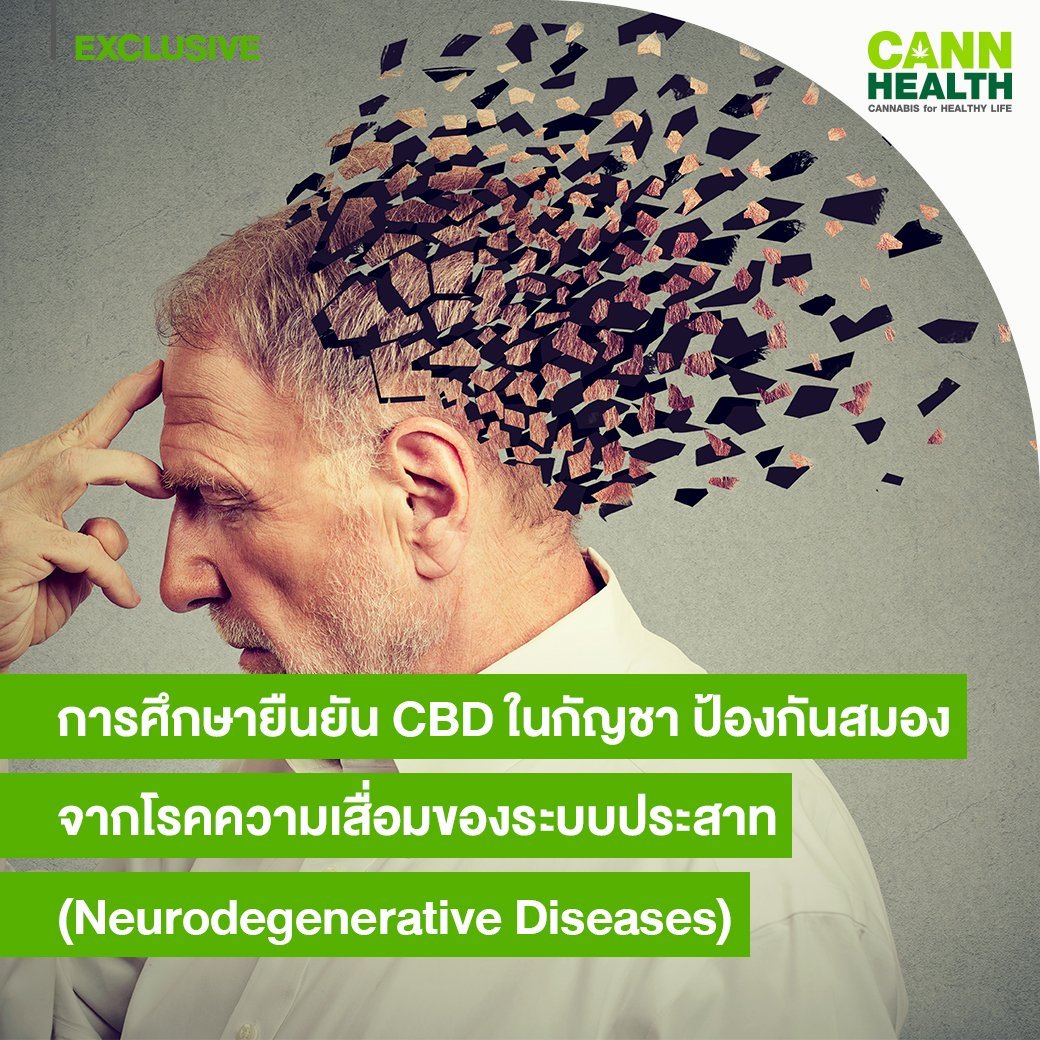 การศึกษายืนยัน CBD ในกัญชา..ป้องกันสมอง จากโรคความเสื่อมของระบบประสาท ...