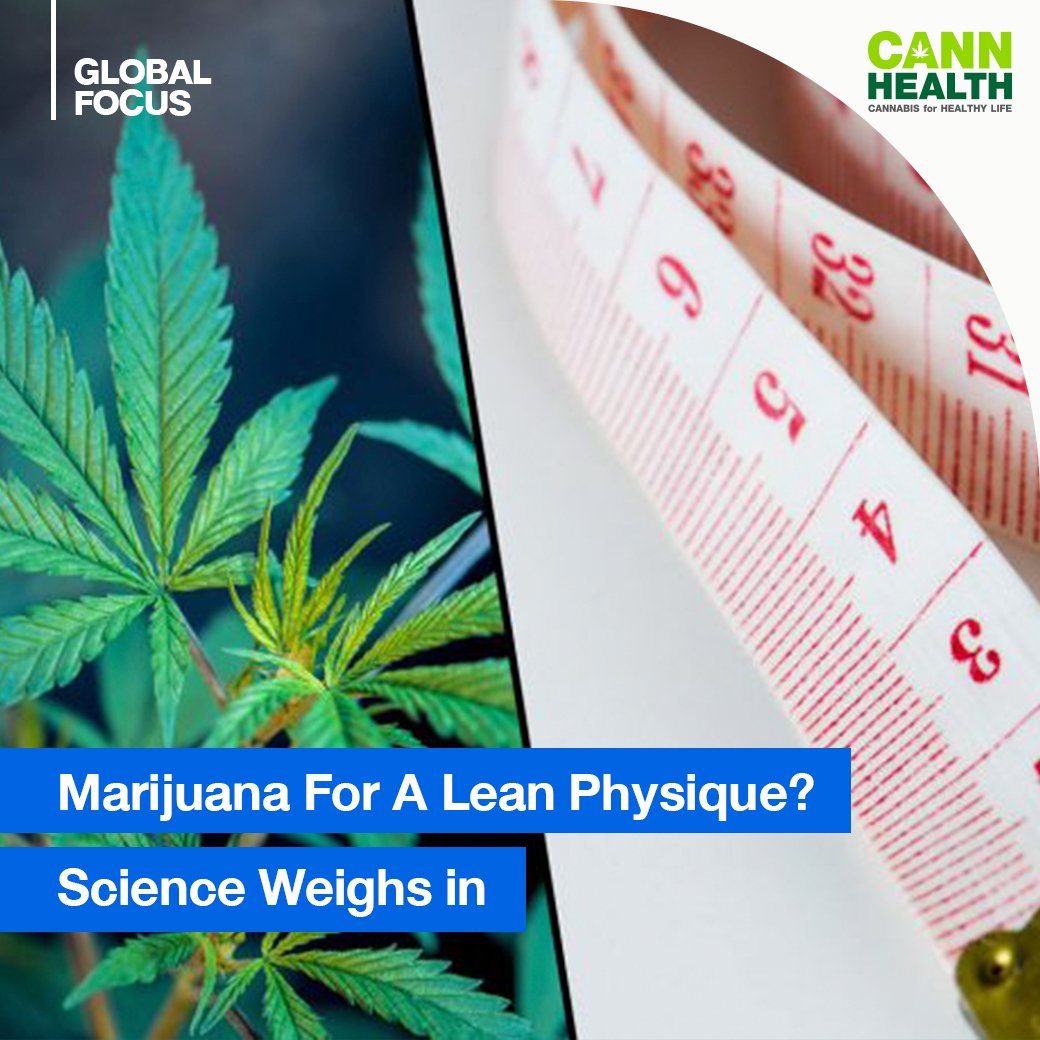 Marijuana For A Lean Physique? Science Weighs In - cannhealth
