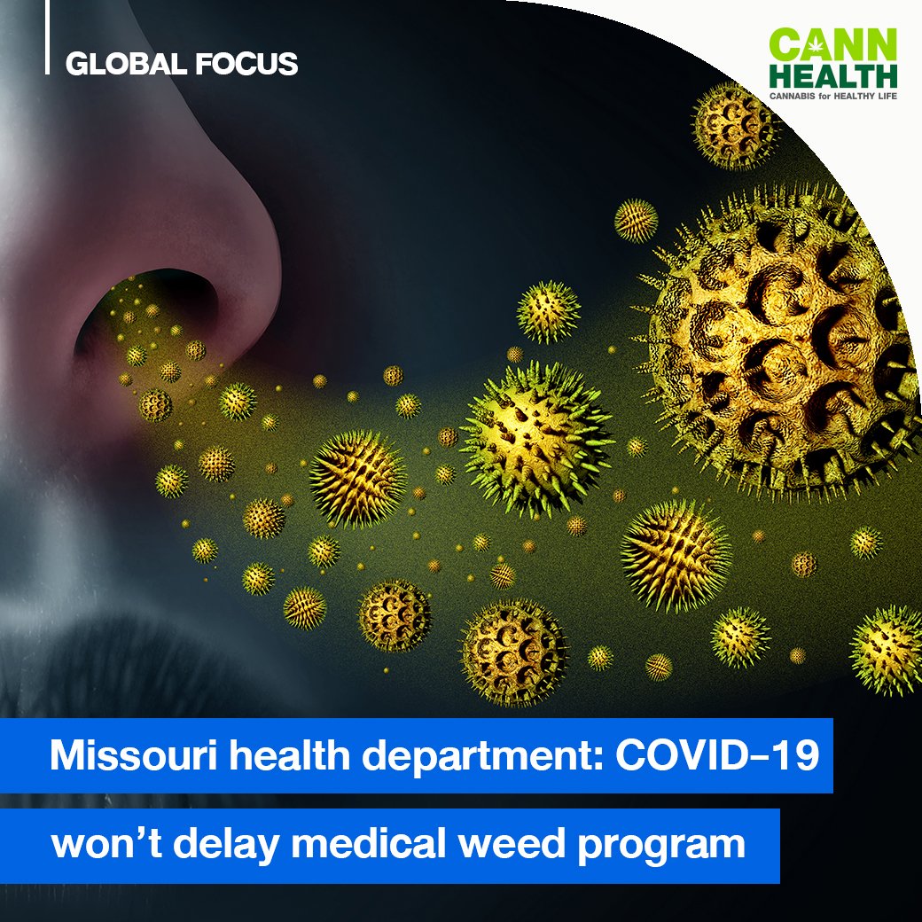 Missouri health department: COVID-19 won’t delay medical weed program