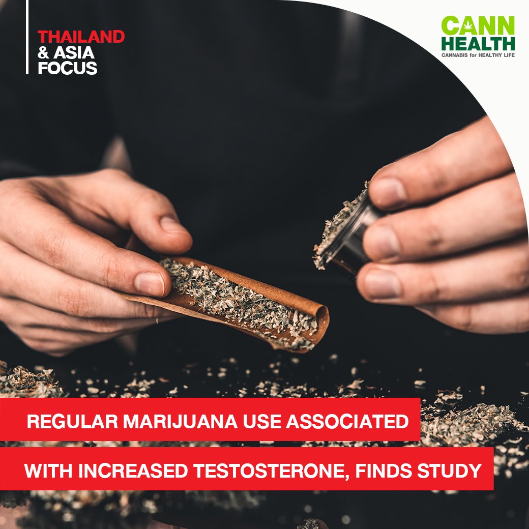 Regular Marijuana Use Associated With Increased Testosterone, Finds ...