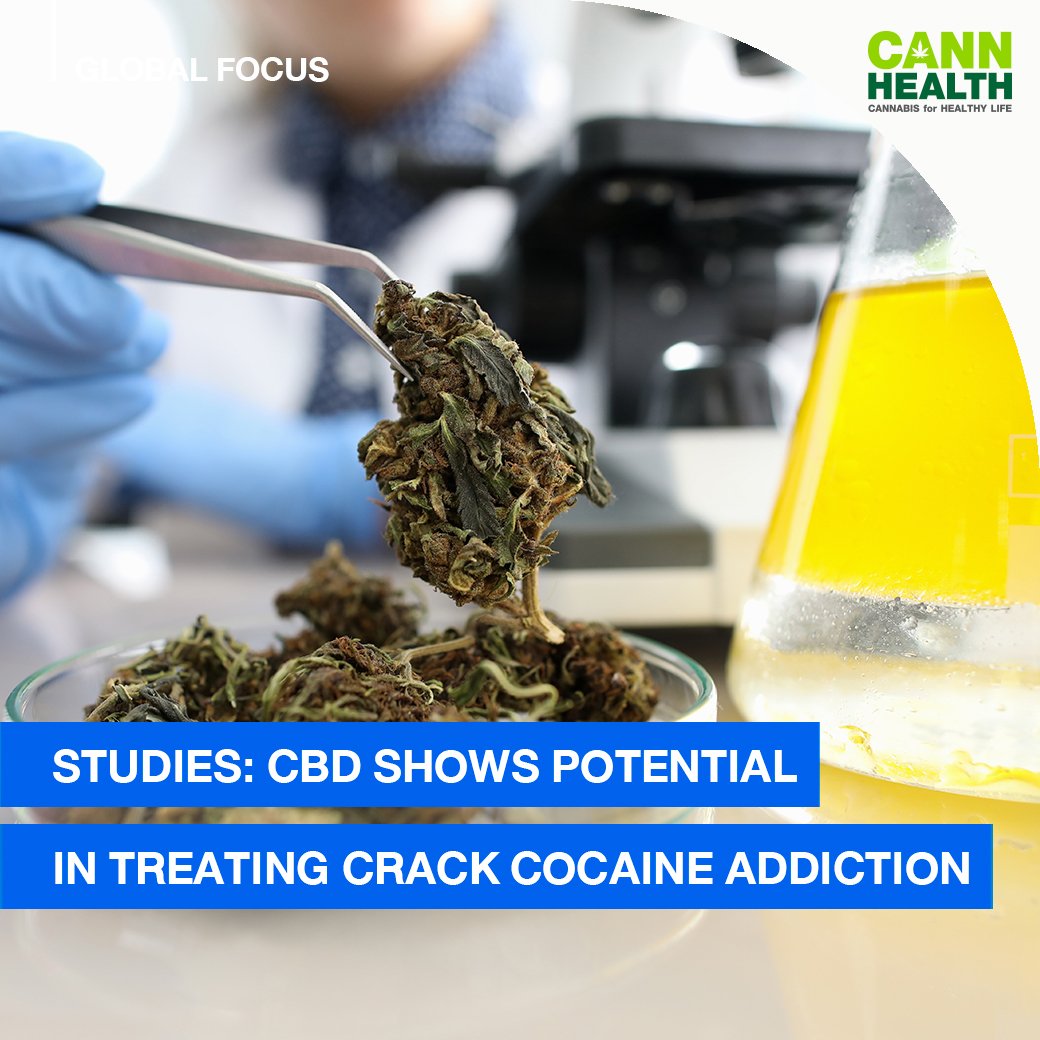 Studies: CBD shows potential in treating crack cocaine addiction