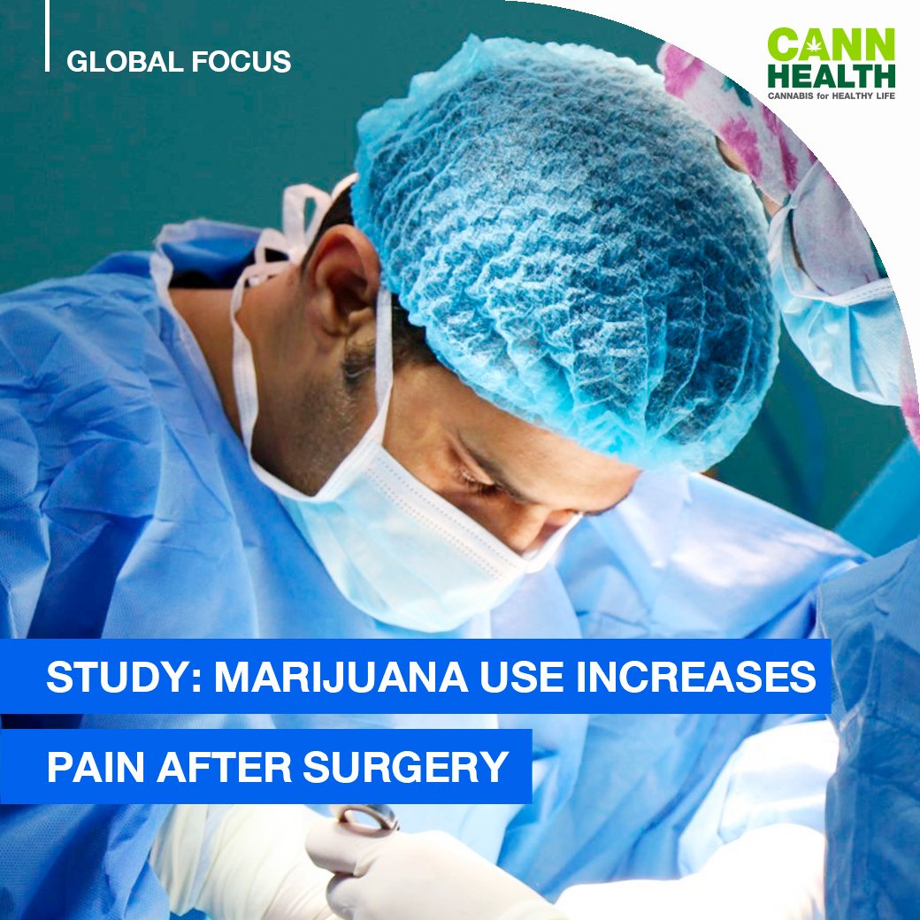 Study: Marijuana Use Increases Pain After Surgery - cannhealth