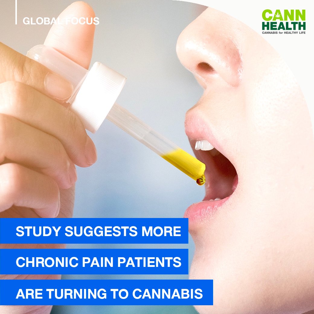 Study Suggests More Chronic Pain Patients Are Turning To Cannabis ...