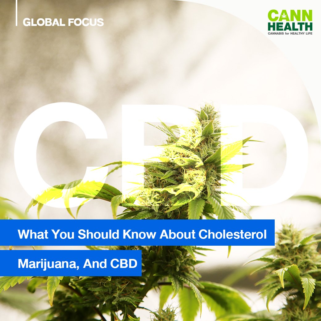 What You Should Know About Cholesterol, Marijuana, And CBD - cannhealth