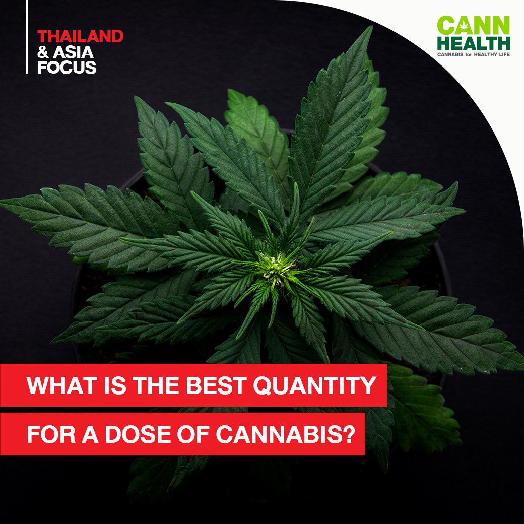What is the best quantity for a dose of cannabis? - cannhealth