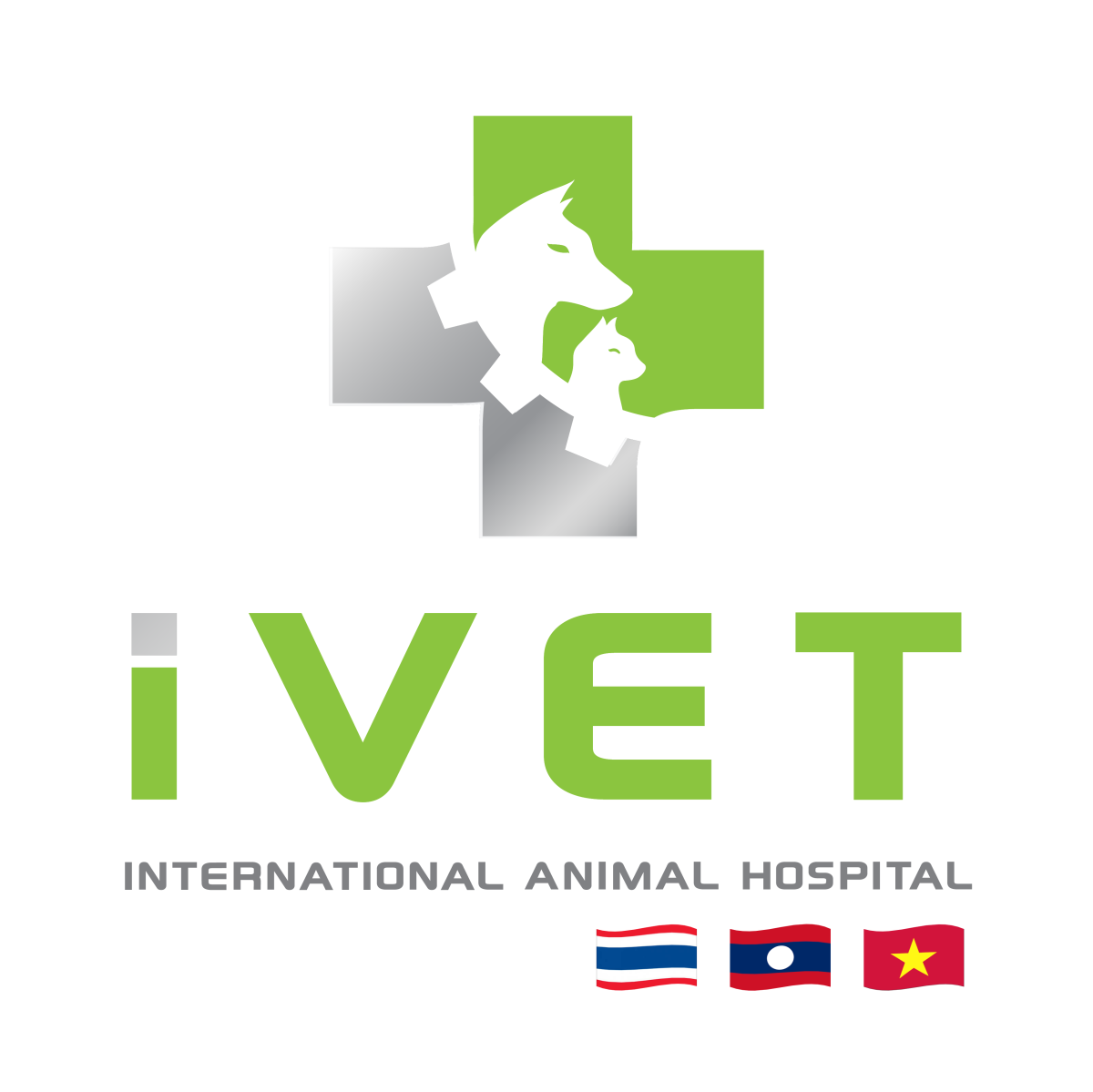 โรงพยาบาลสัตว์ไอเว็ท (iVET) | เปิด 24 ชม. สาขาพระราม 9 และศาลายา
